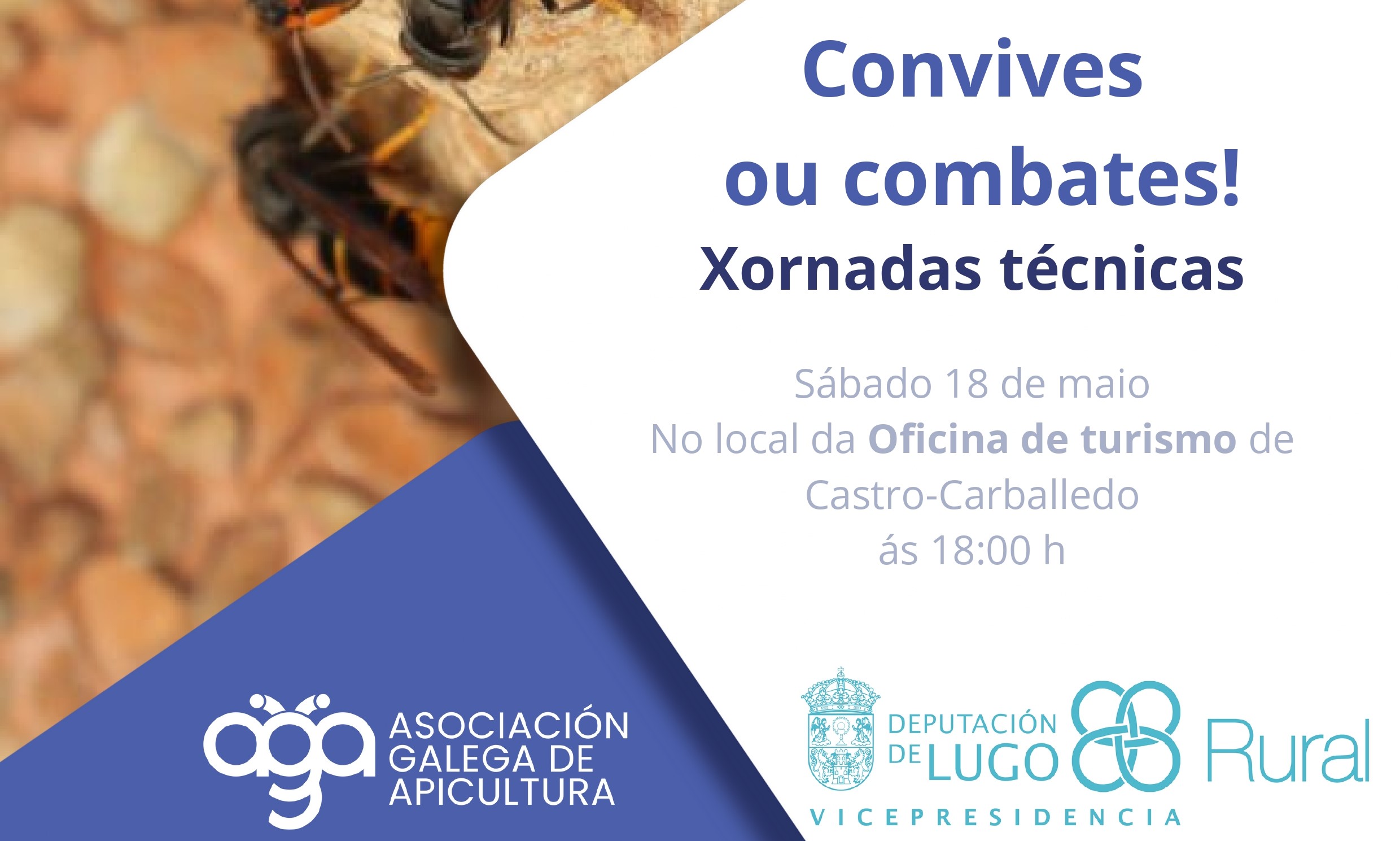 A área de Rural da Vicepresidencia da Deputación leva a Carballedo unha ...